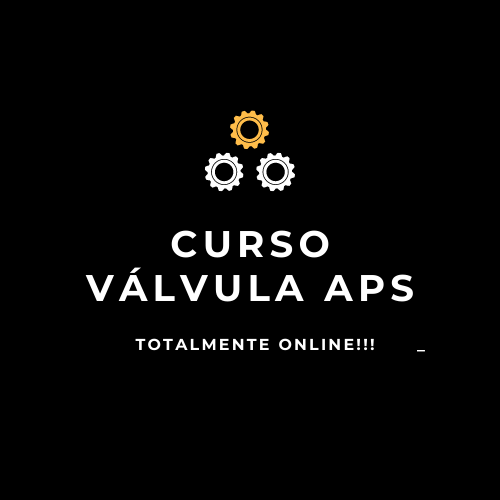 Curso Válvula APS
