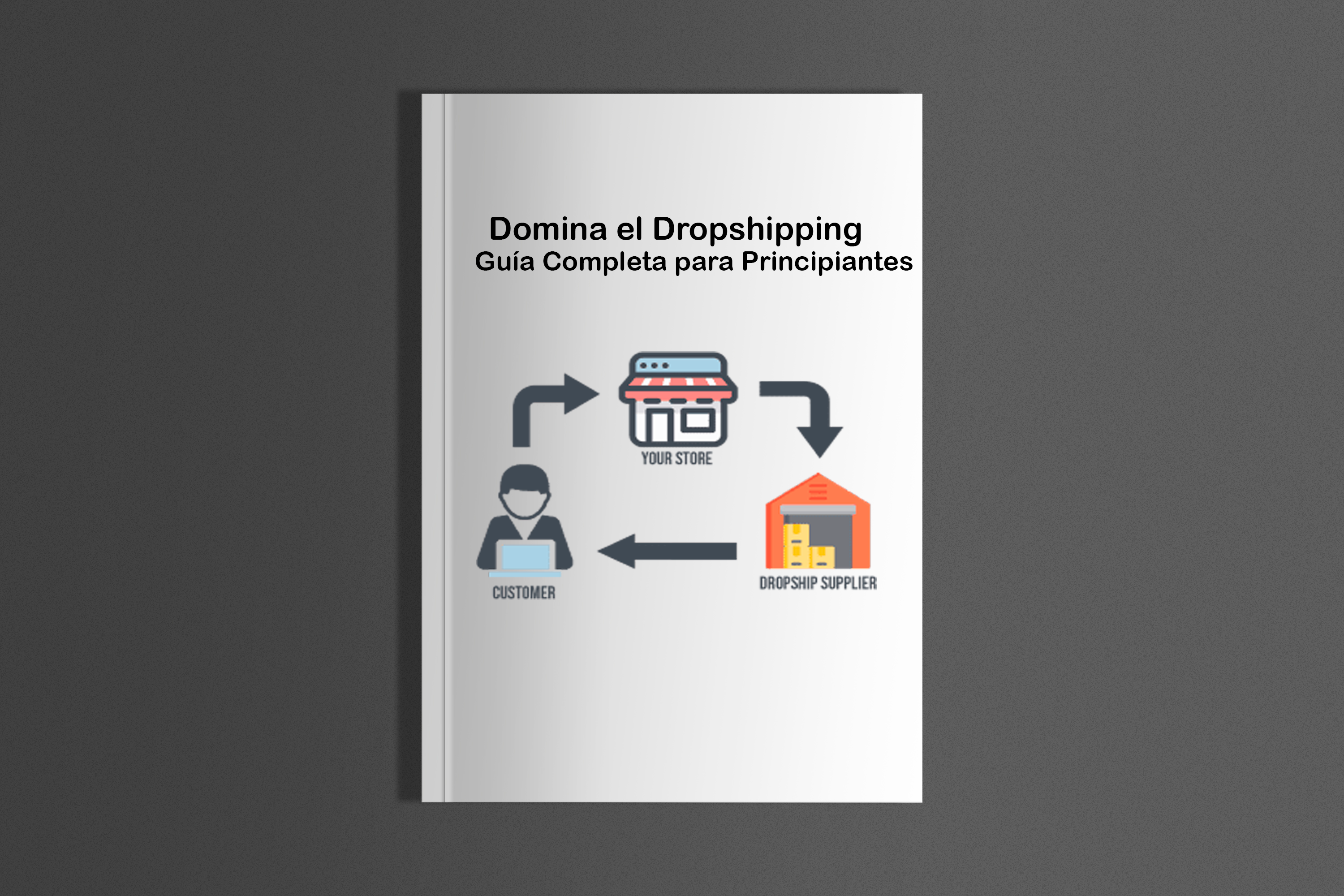 Domina el Dropshipping: Guía Completa para Principiantes - Dropship...