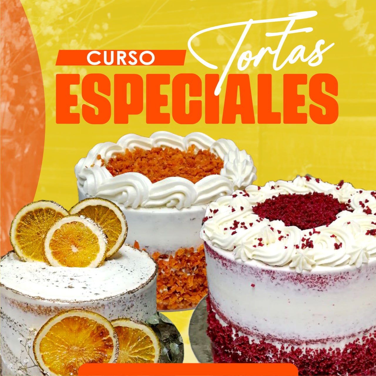 TORTAS ESPECIALES - Alexa Parra | Hotmart