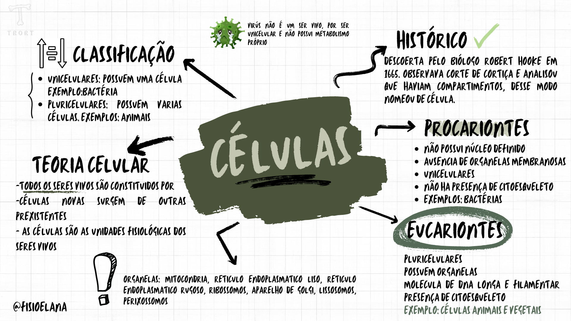 MAPA MENTAL - CÉLULA - Elana Cesar de Menezes | Hotmart