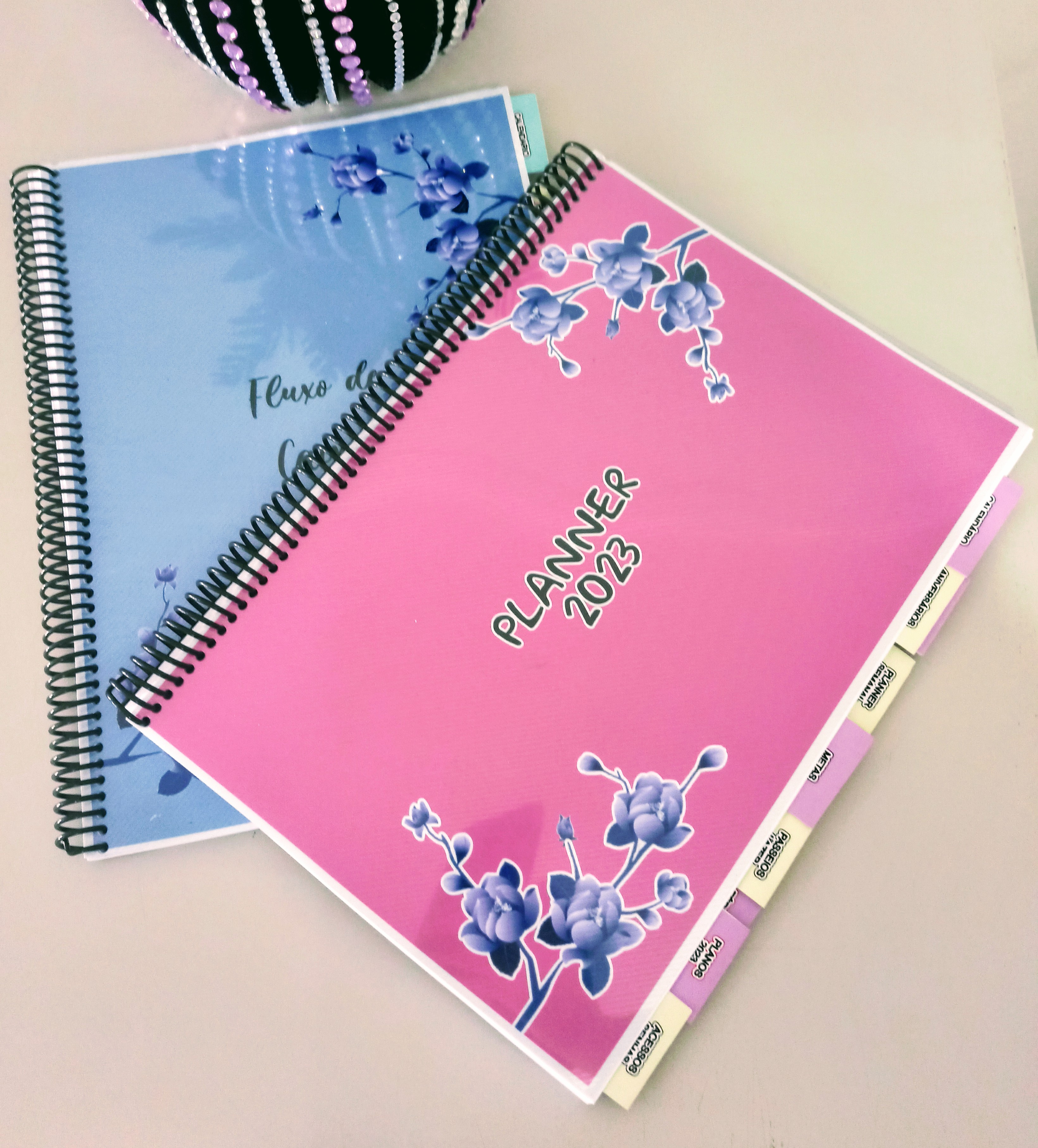 PLANNER 2023 + FLUXO DE CAIXA - Débora de Fátima Barsoti dos Santo...