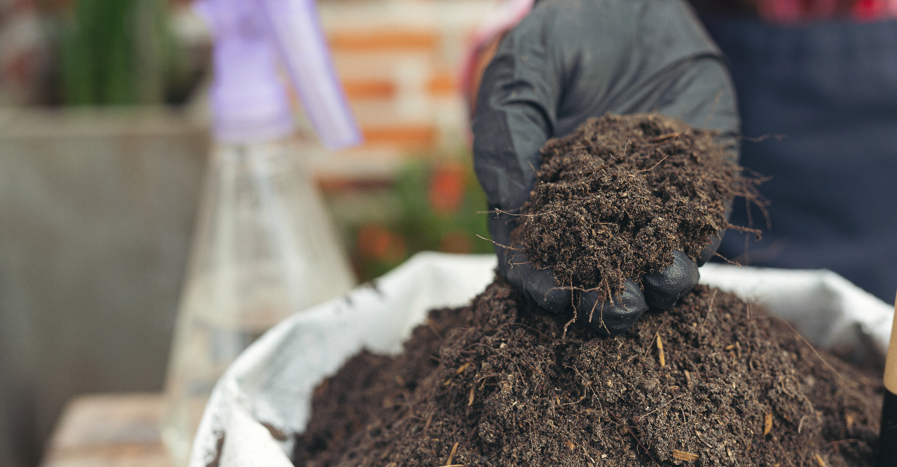 Uso y manejo de abonos orgánicos y fertilizantes en la Agricultura ...