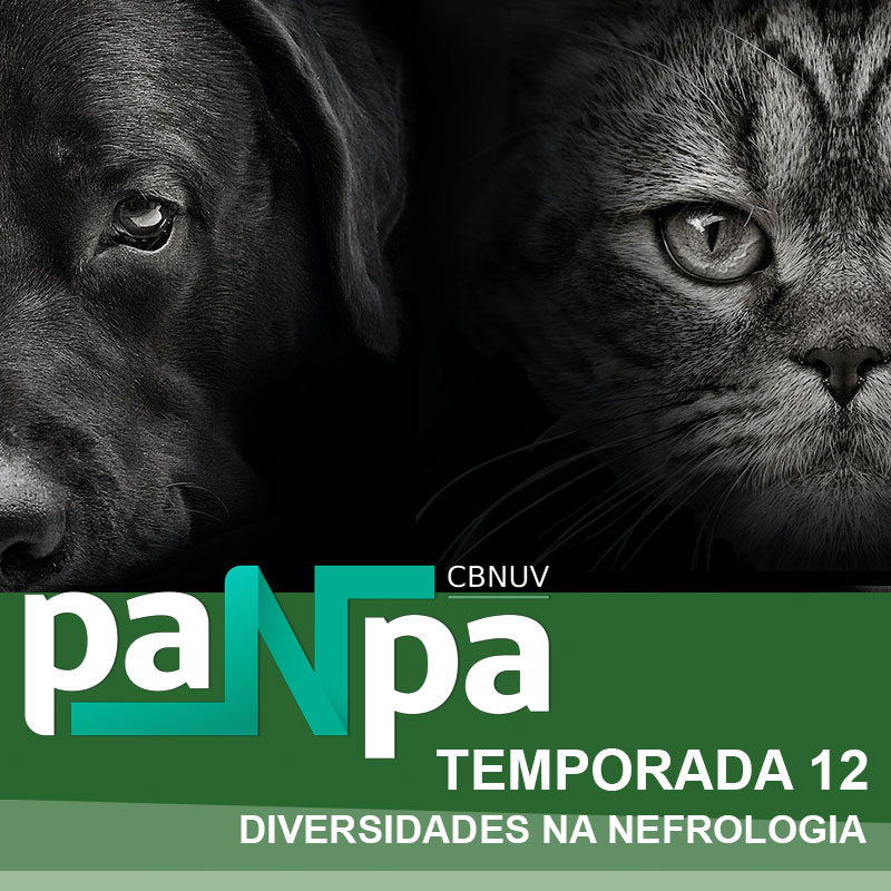 PaNpa temporada 12 Diversidades na nefrologia