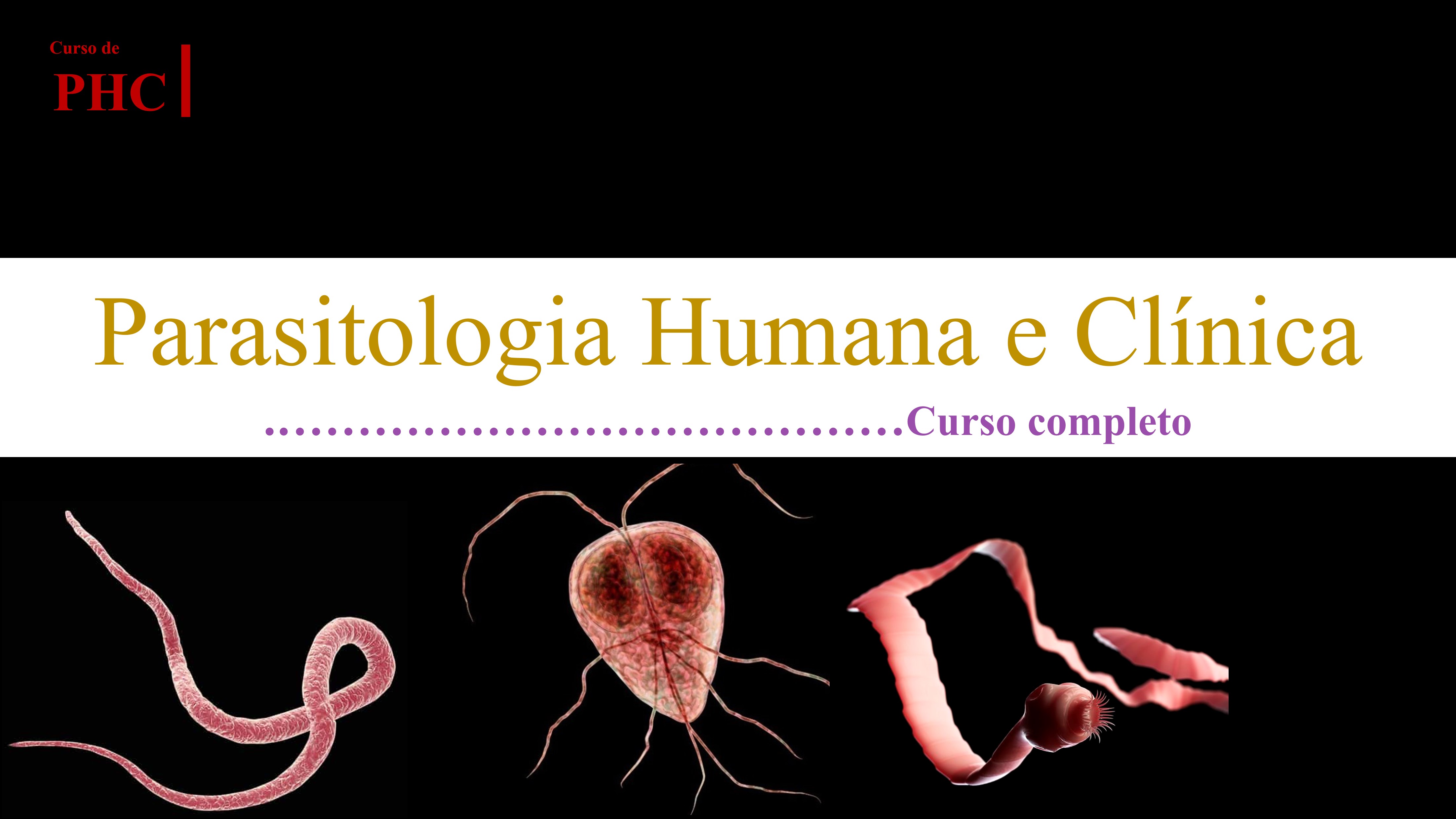Parasitologia Humana e Clínica: Cursos Completo - Manoel Neres | Ho...