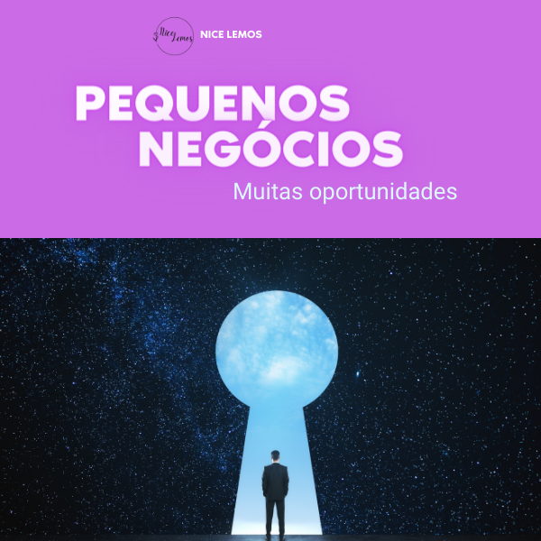 Pequenos Negócios e grandes oportunidades. - Nice Lemos | Hotmart