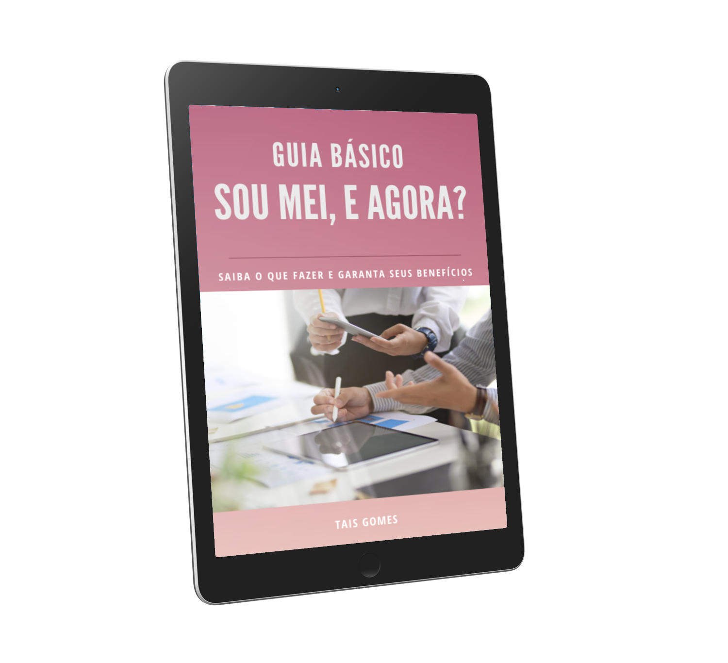 GUIA BÁSICO DO MEI DE SUCESSO