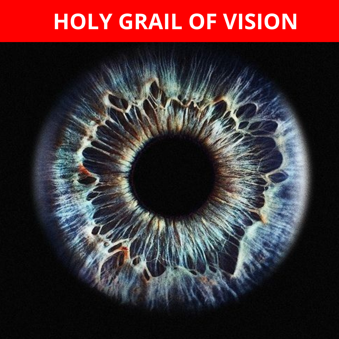 Holy Grail Of Vision