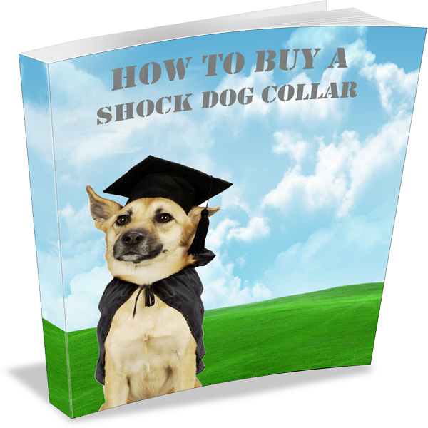 How to Buy a Shock Dog Collar