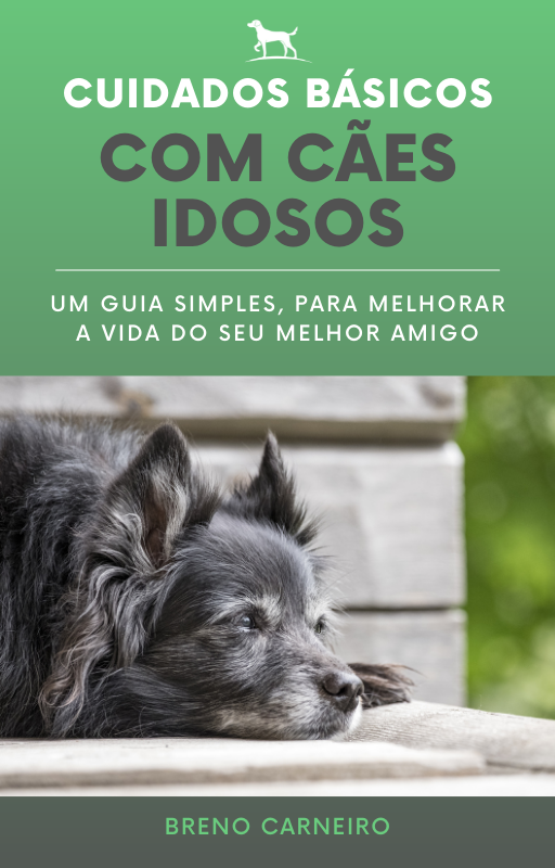 Cuidados Básicos com Cães Idosos