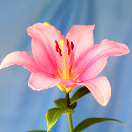 Curso de Bioética Fundamental 🦋 - Juan Ignacio Jugo | Hotmart