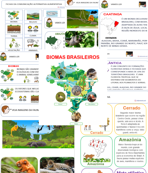 Biomas do Brasil - Simone Pereira Mendes Leal | Hotmart