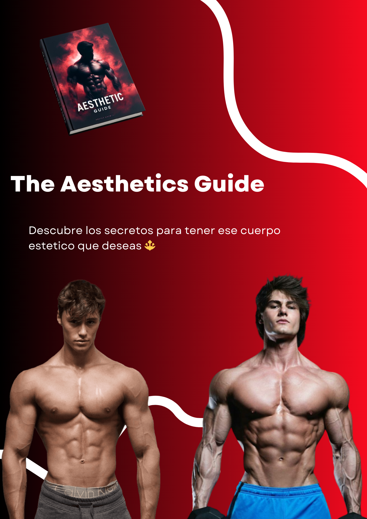 The Aesthetics Guide