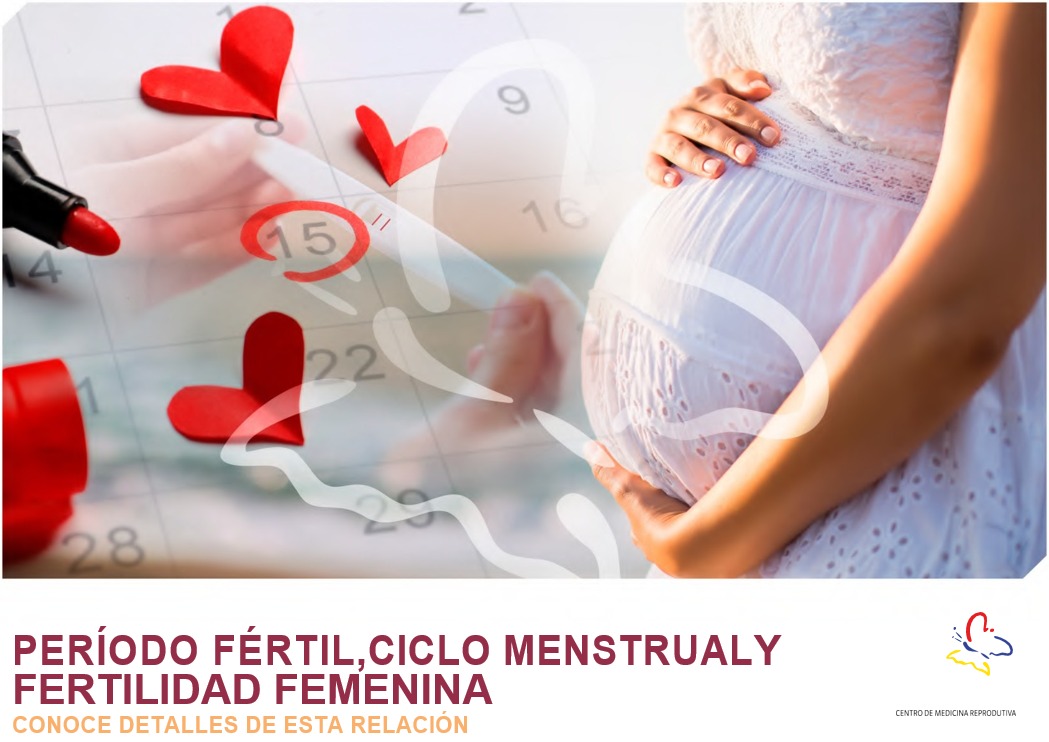 Cómo calcular tu periodo fértil de forma sencilla y sin errores - D...