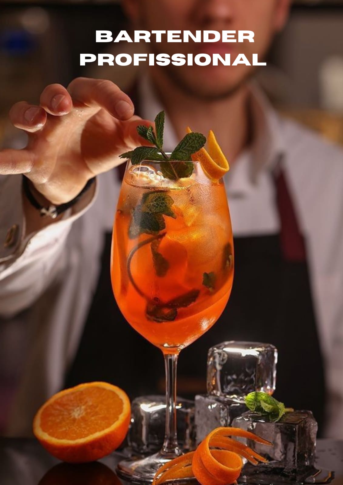Bartender Profissional