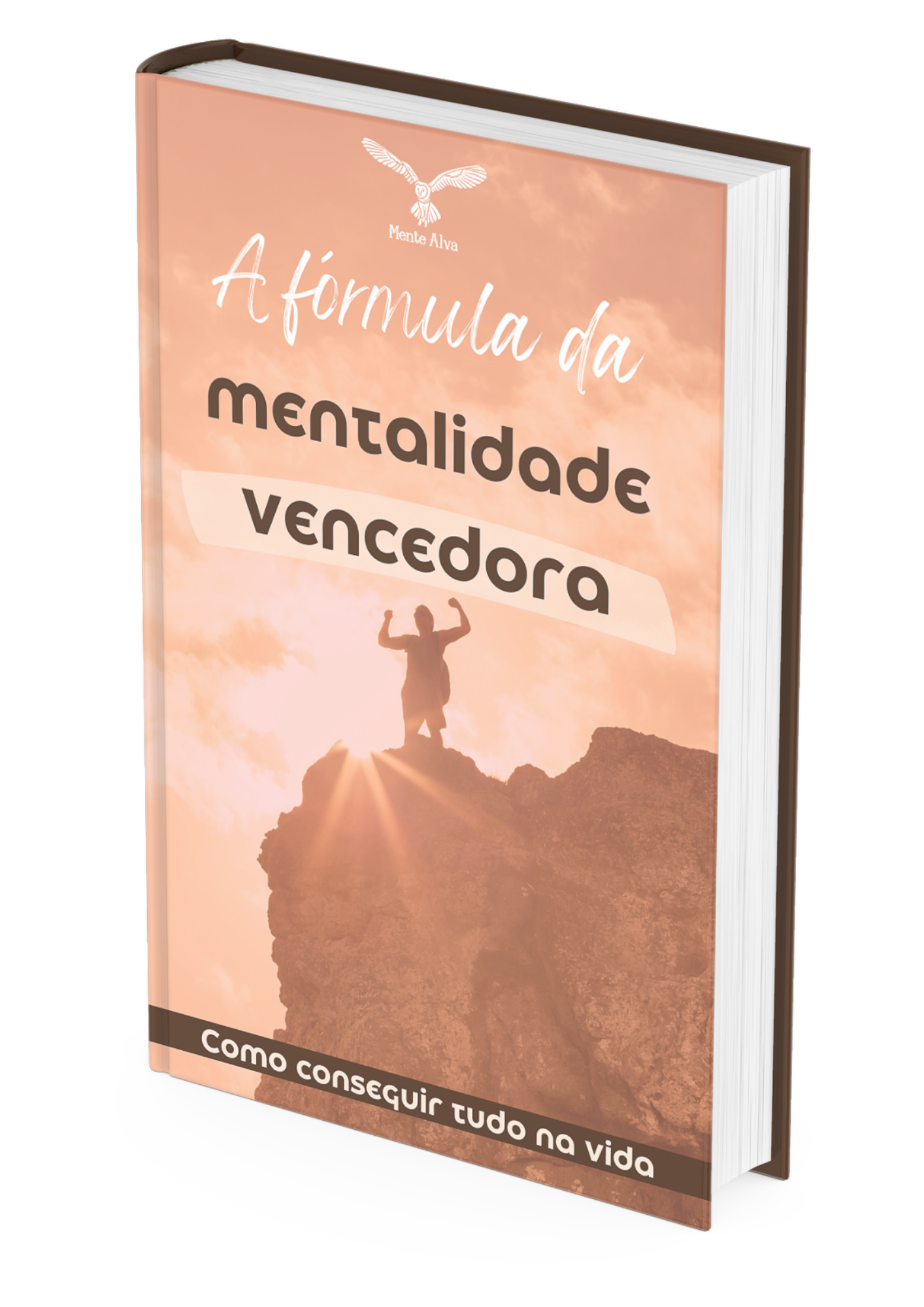 A Fórmula da Mentalidade Vencedora