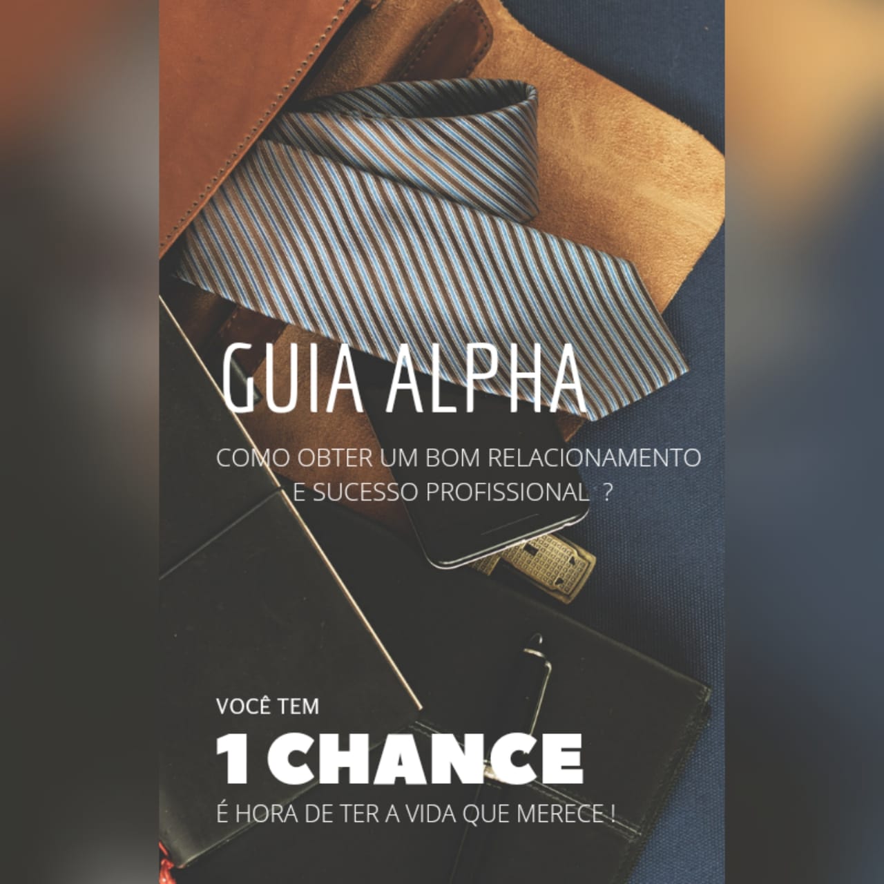 Guia Alpha 1