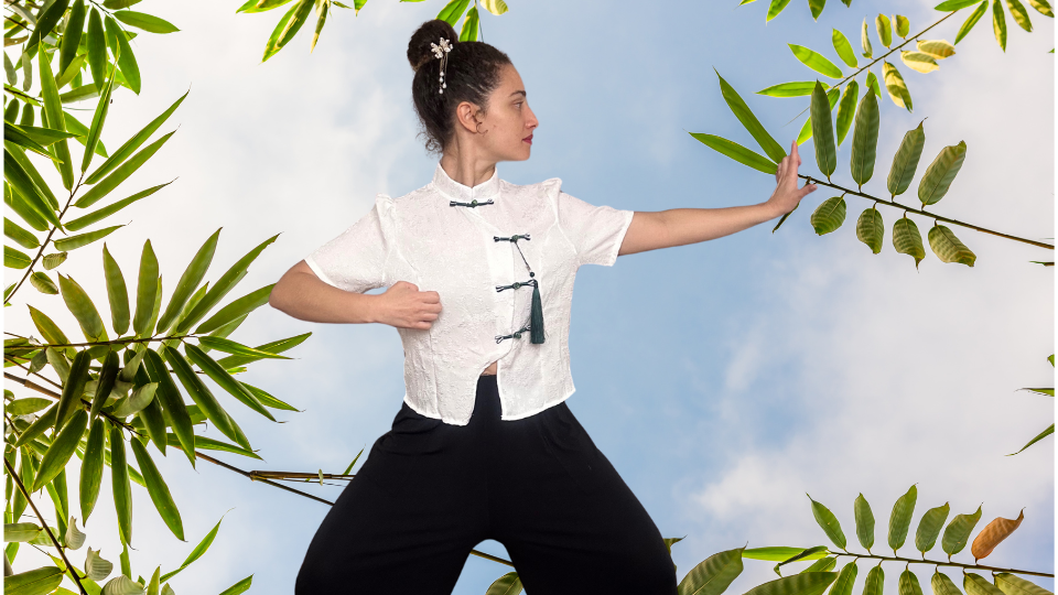 Chi Kung - Ba Duan Jin - TaiChi Br | Hotmart