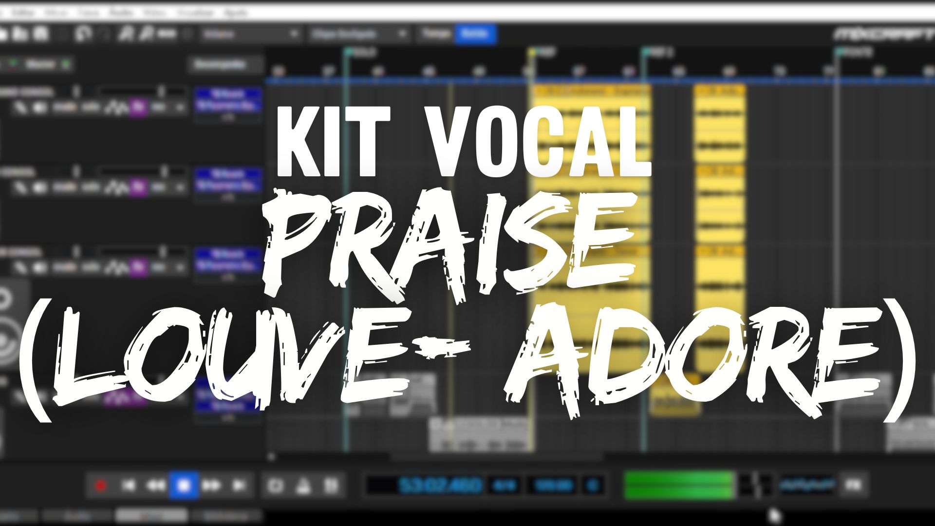 KIT VOCAL - PRAISE (LOUVE | ADORE)