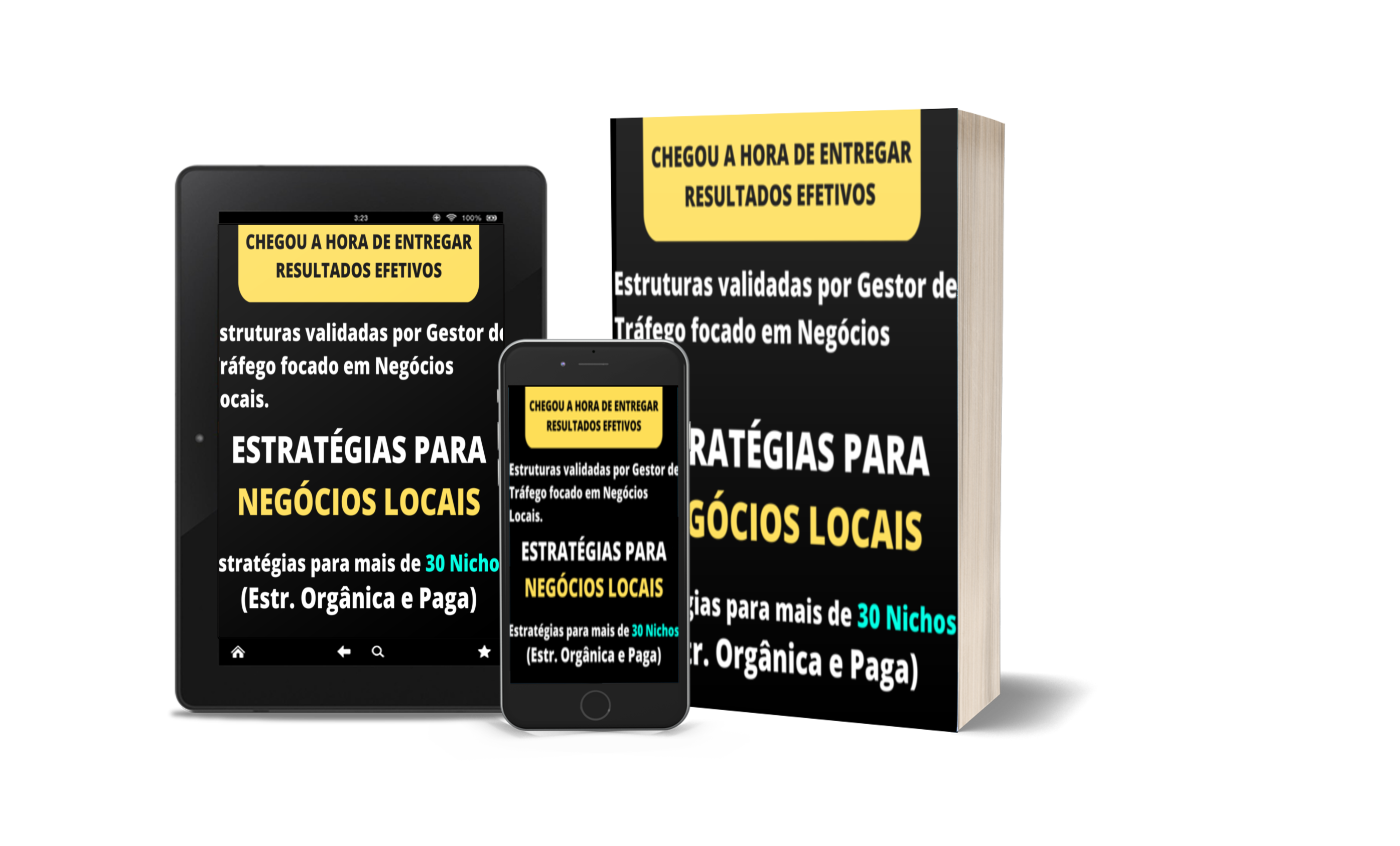 Estratégias para mais de 30 Nichos para Negócios Locais! - Felipe A...