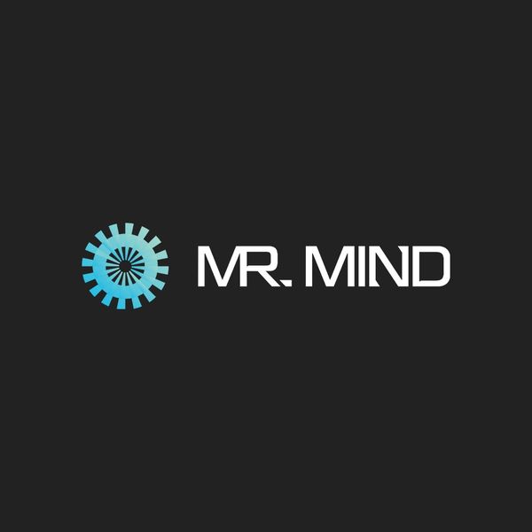 Mister Mind - Mr Ins