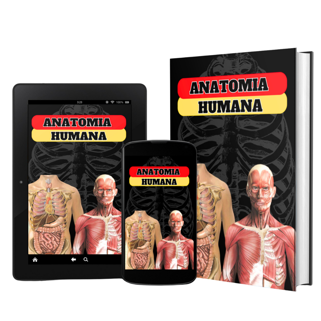 Ebook Anatomia Humana
