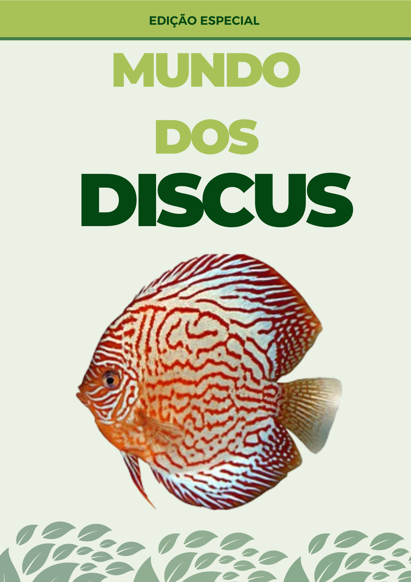 O Mundo dos Discus - Eduardo de Resende Clipe | Hotmart