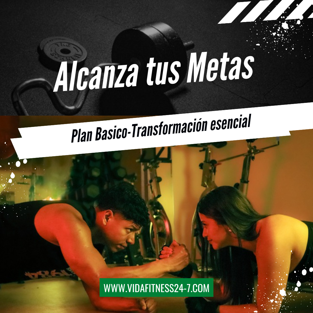 Plan basico-Transformación esencial