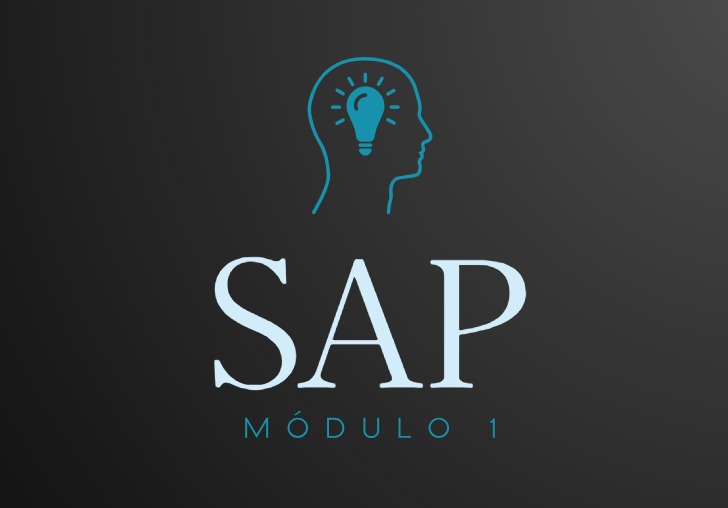 Conceitos básicos sobre o SAP Módulo 1 - Samuel Consultor | Hotmart