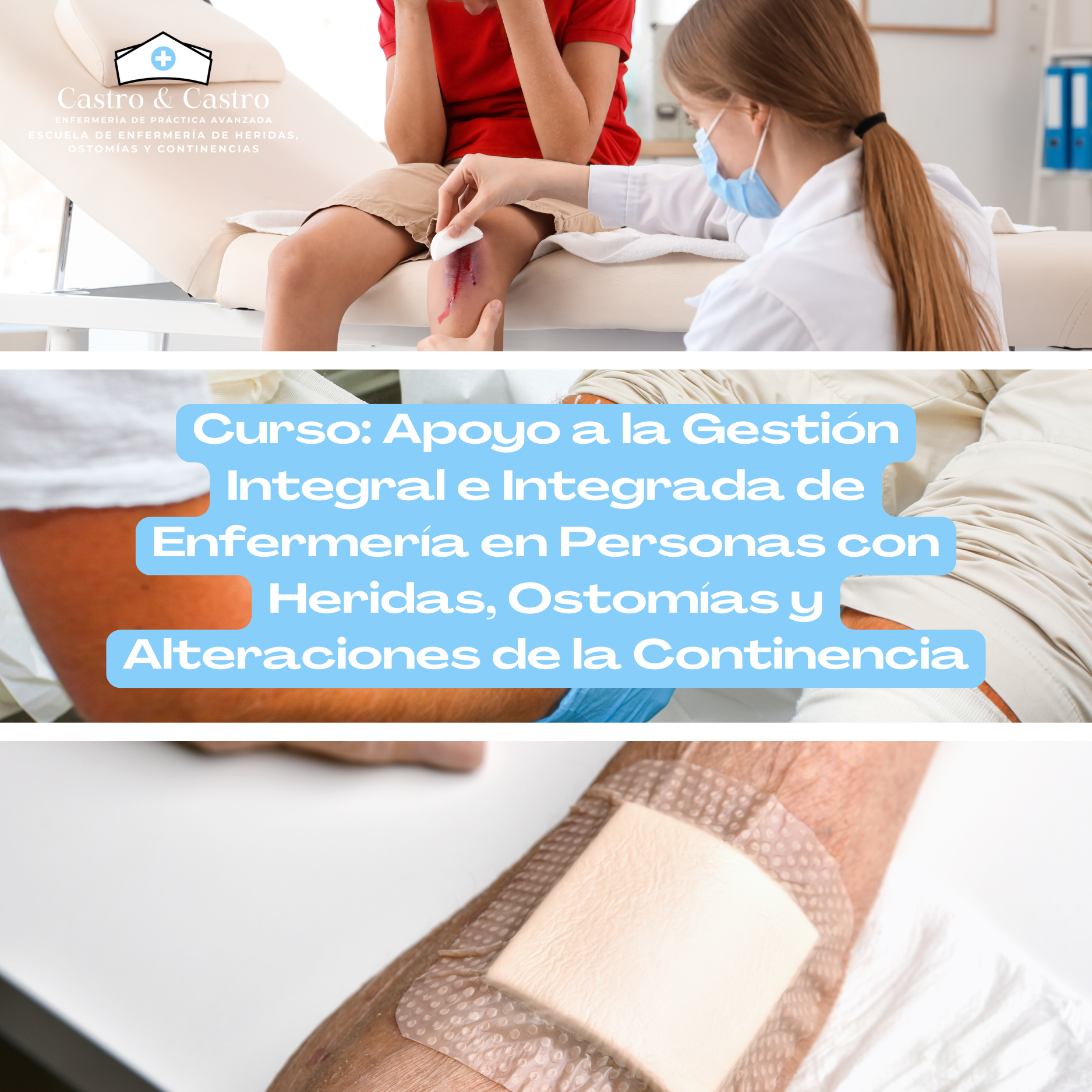 Curso: Apoyo a la Gestión Integral e Integrada de Enfermería en Per...