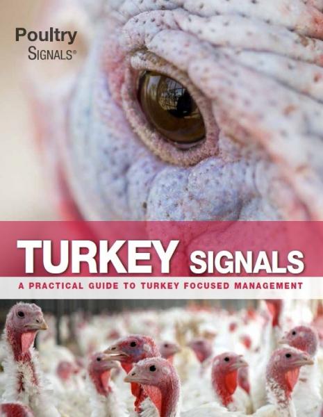 Turkey Signals (English edition) A practical guide to turkey focused ...
