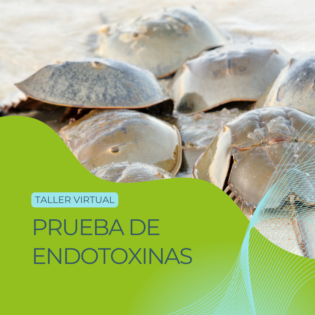 Taller virtual: Prueba de Endotoxinas