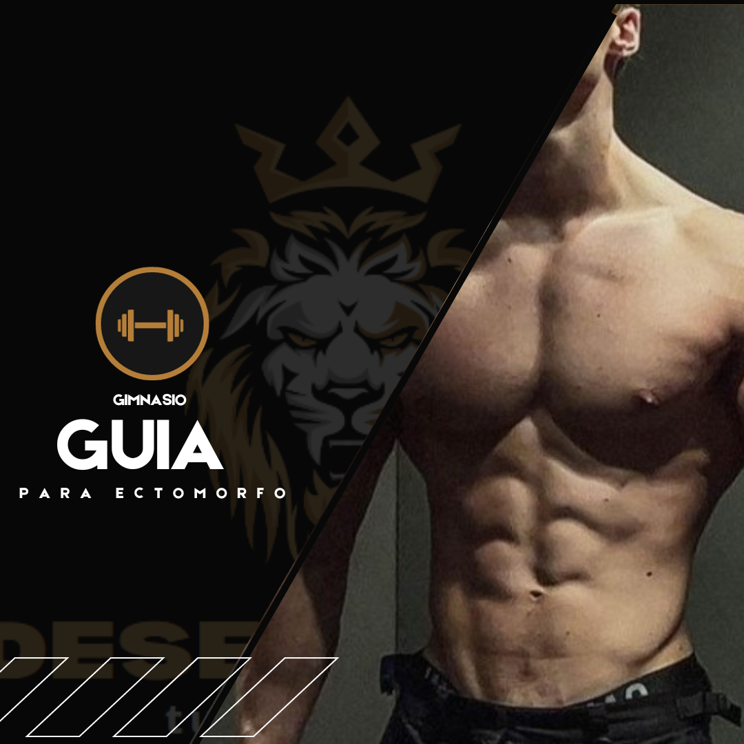 Guia Ectomorfo 2.0 en 1 mes veras cambios!! - mateus almeida mereu ...