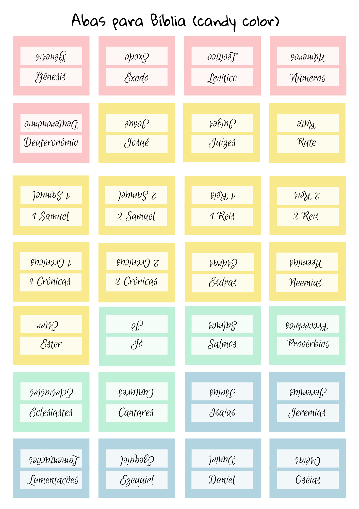 Abas para Bíblia (candy color)