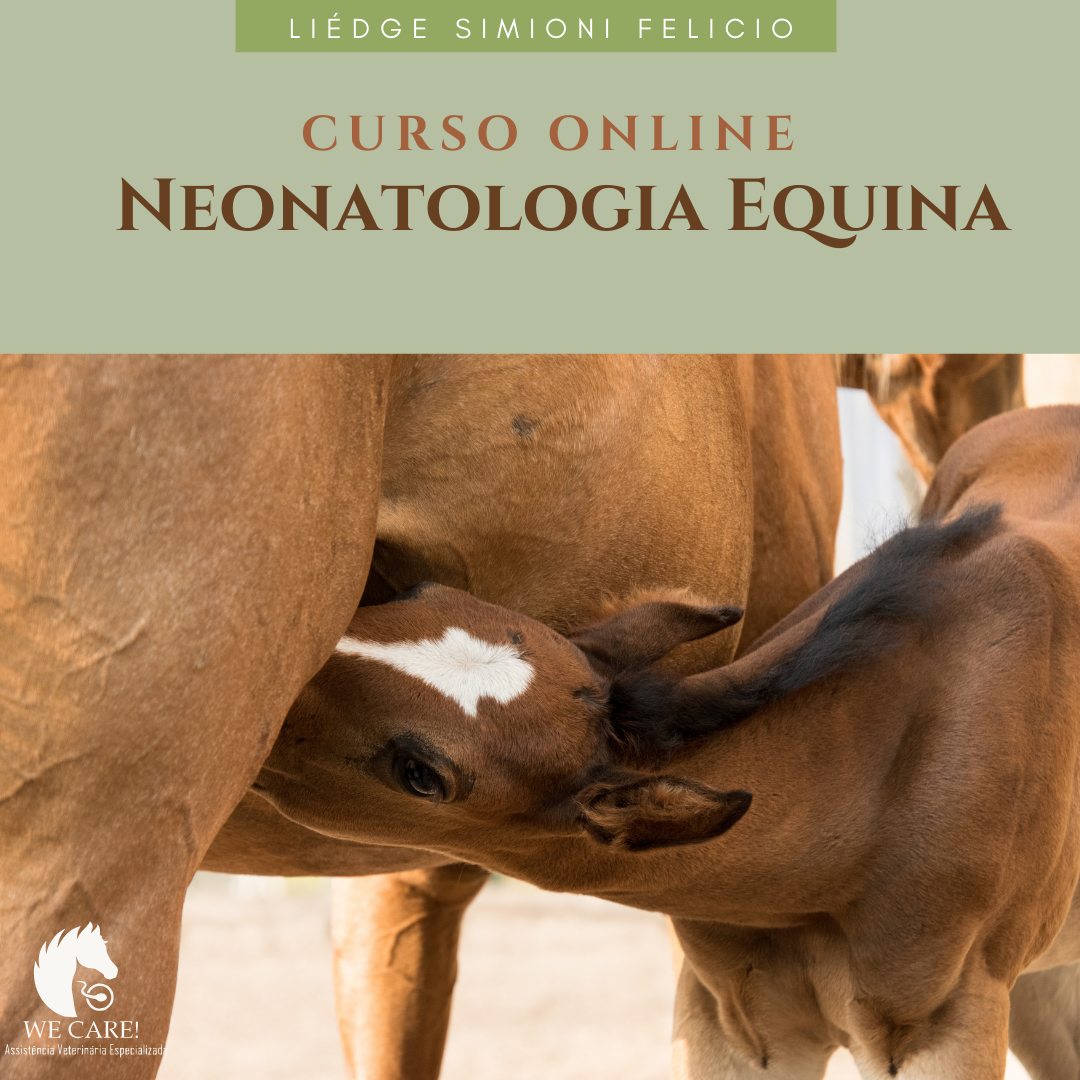 Neonatologia Equina - Manejo Básico - Liedge Simioni | Hotmart