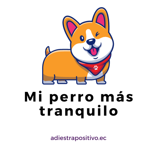 MI PERRO MAS TRANQUILO - Sandy Escudero | Hotmart