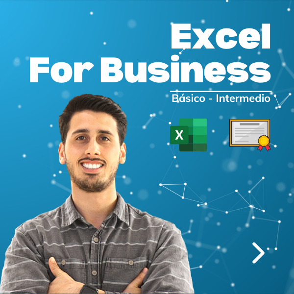 Excel For Business Básico - Intermedio - Flavio Flores | Hotmart
