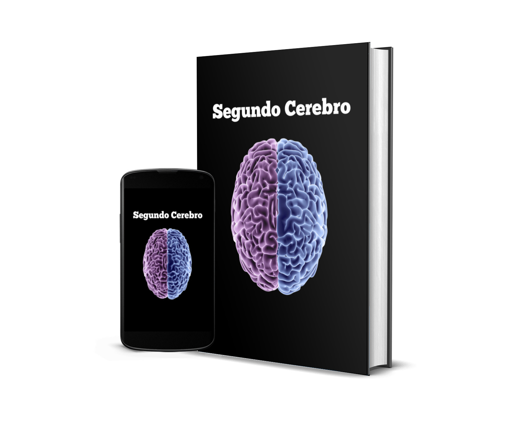 Segundo Cerebro - Gustavo Henrique de Souza Barbosa | Hotmart