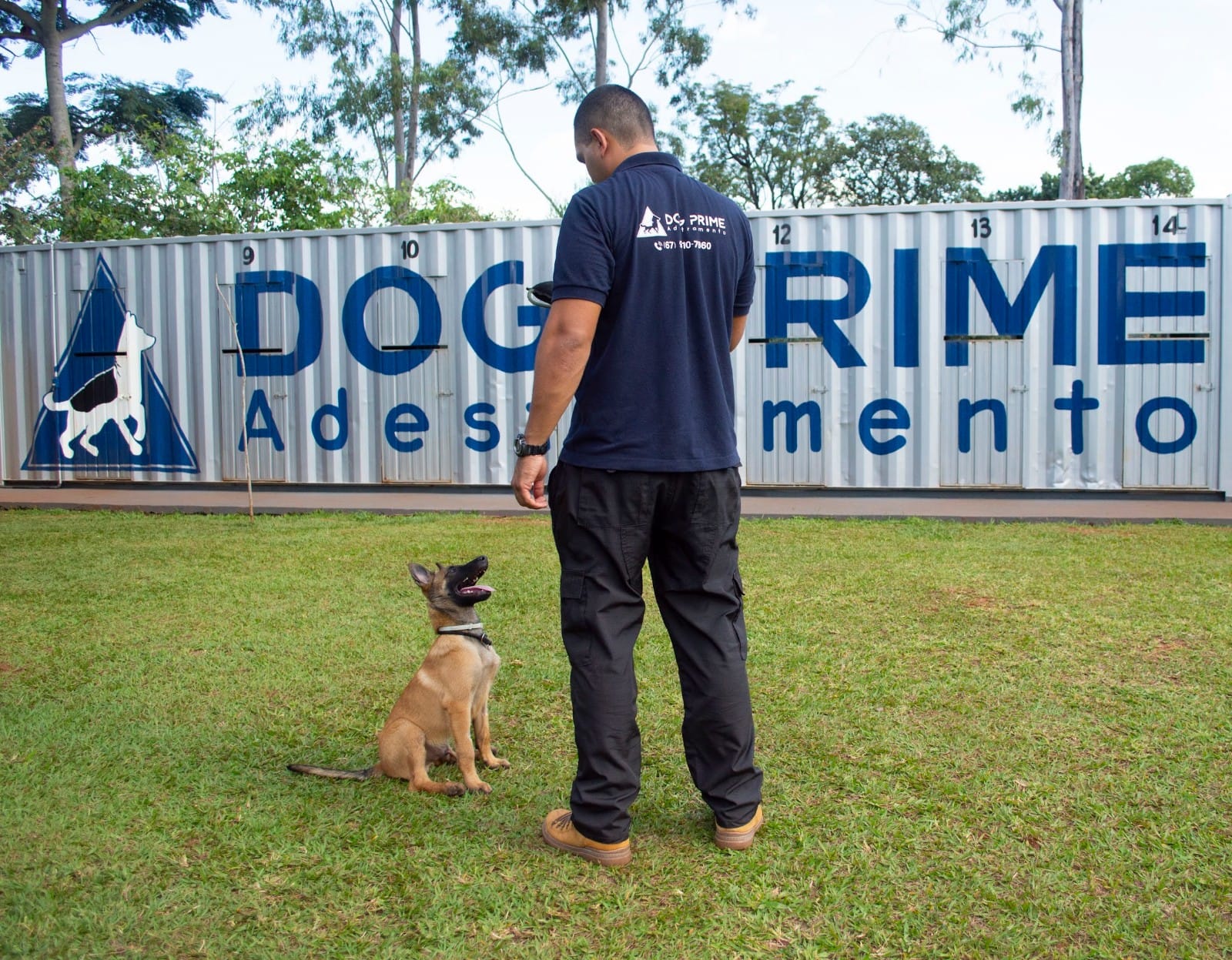 Educando meu Cão em Casa - DOG PRIME Adestramento | Hotmart