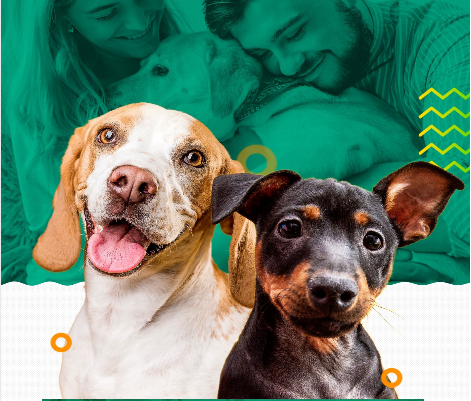 Mundo Pets - Adestramento de Cães - Mateus Amante - E-Books Profiss...