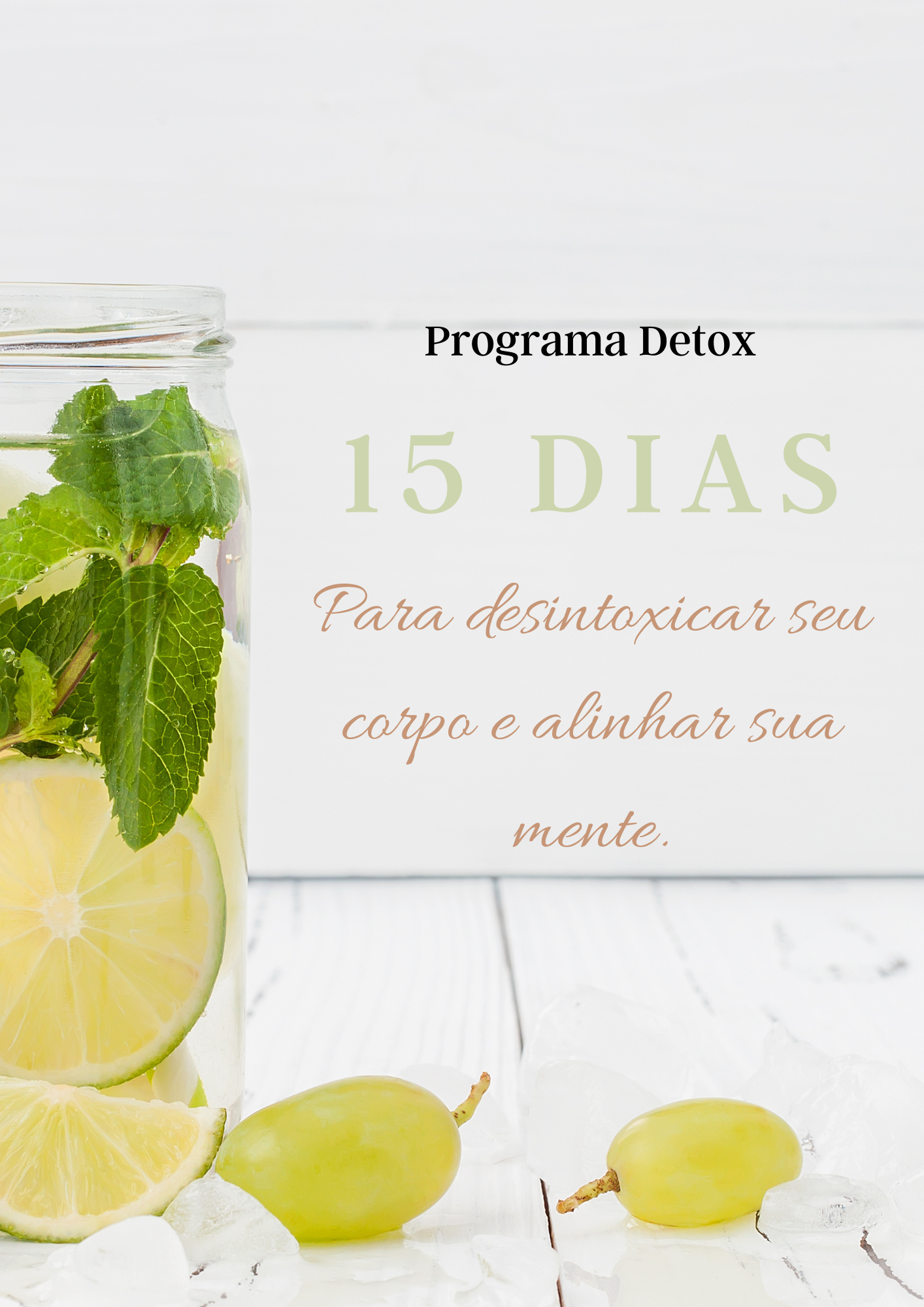 Programa Detox - 15 dias para desintoxicar seu corpo e alinhar sua ...