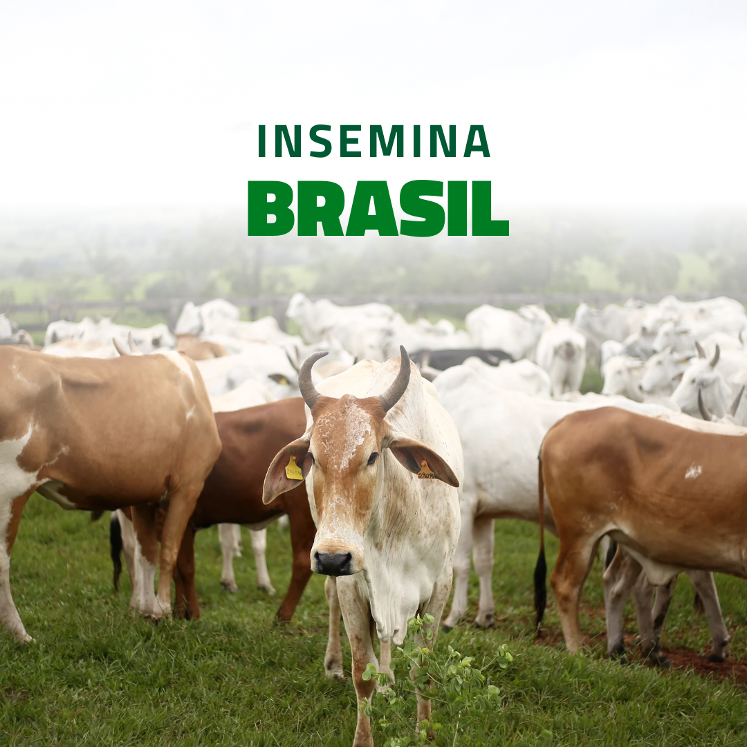 INSEMINA BRASIL - Prof. Gabriela Xavier | Hotmart
