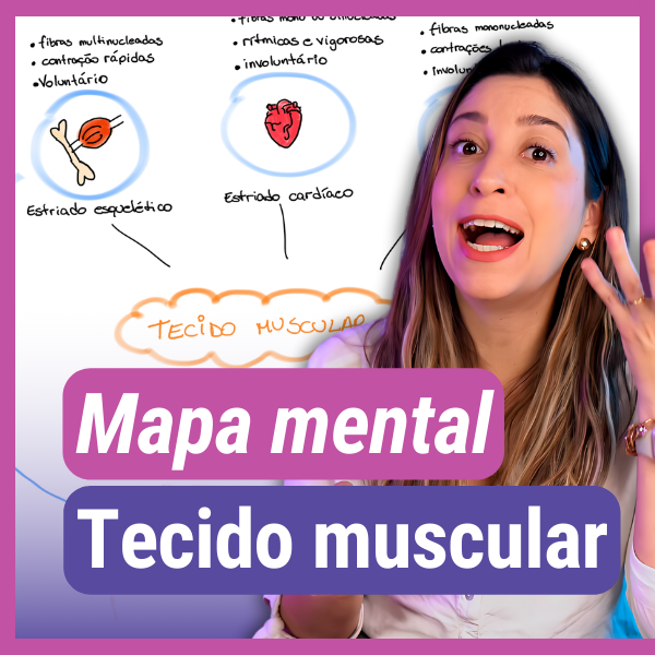 MAPA MENTAL - TECIDO MUSCULAR. Material de Apoio aulas Youtube - An...
