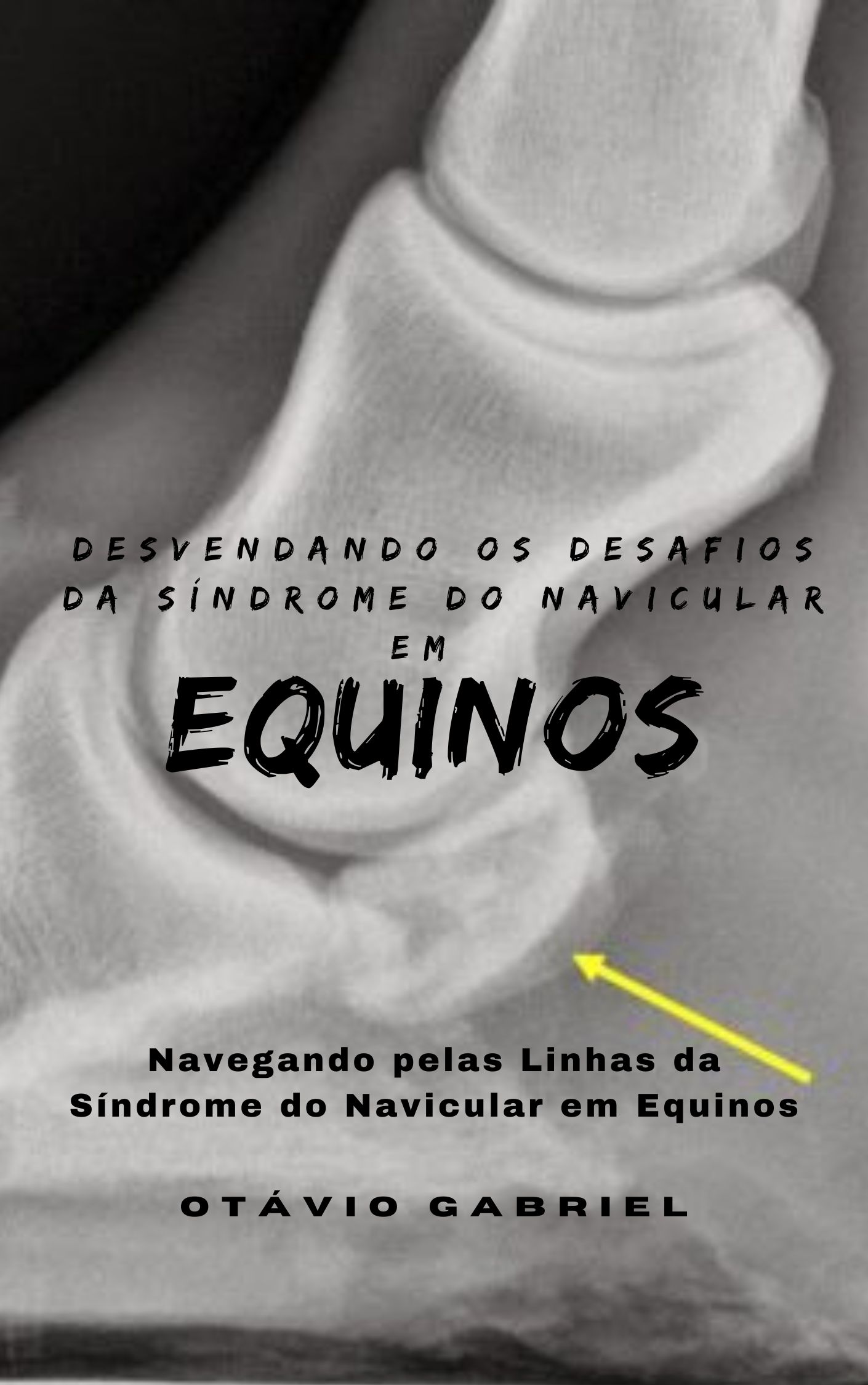 Desvendando os desafios da síndrome do navicular em equinos - Otávi...