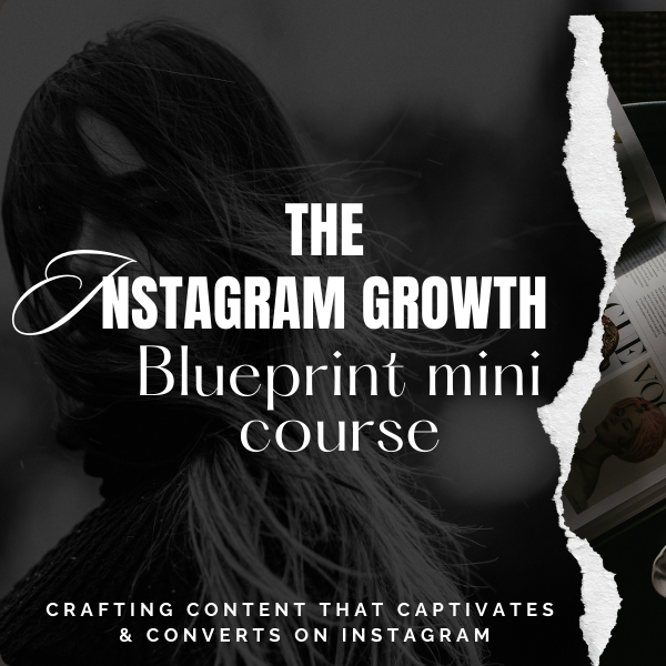 The Instagram Growth Blueprint Mini Course (3 hours audio)
