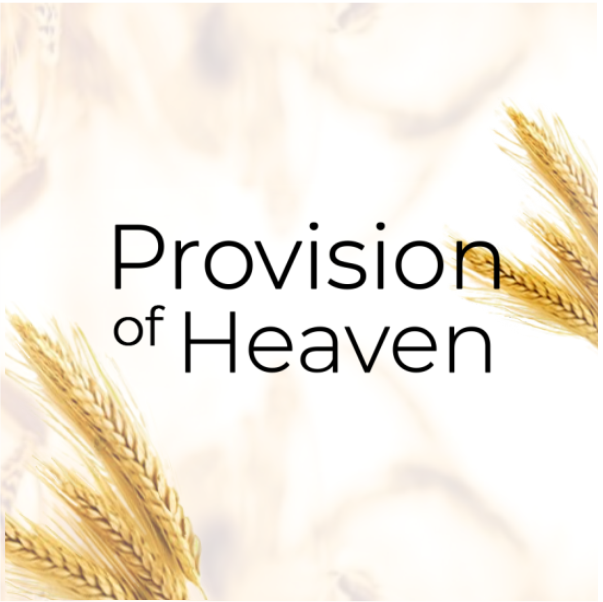 Provision