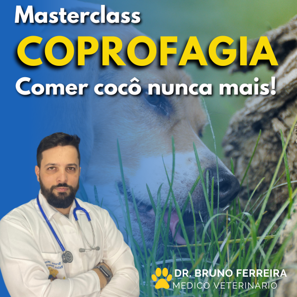 Masterclass Coprofagia