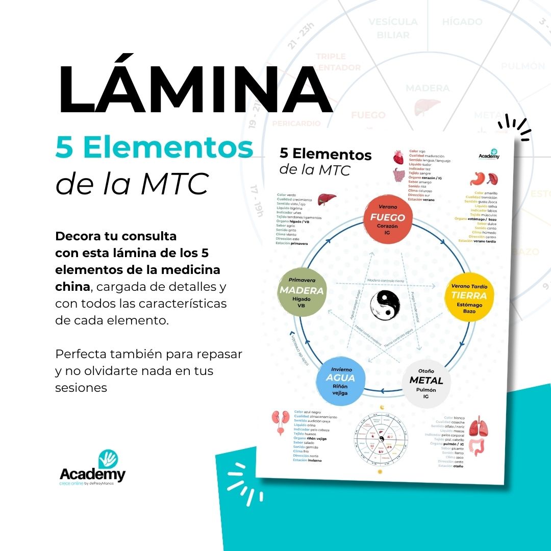 LÁMINA 5 ELEMENTOS MEDICINA CHINA de Sergio Miranda - Sergio Mirand...