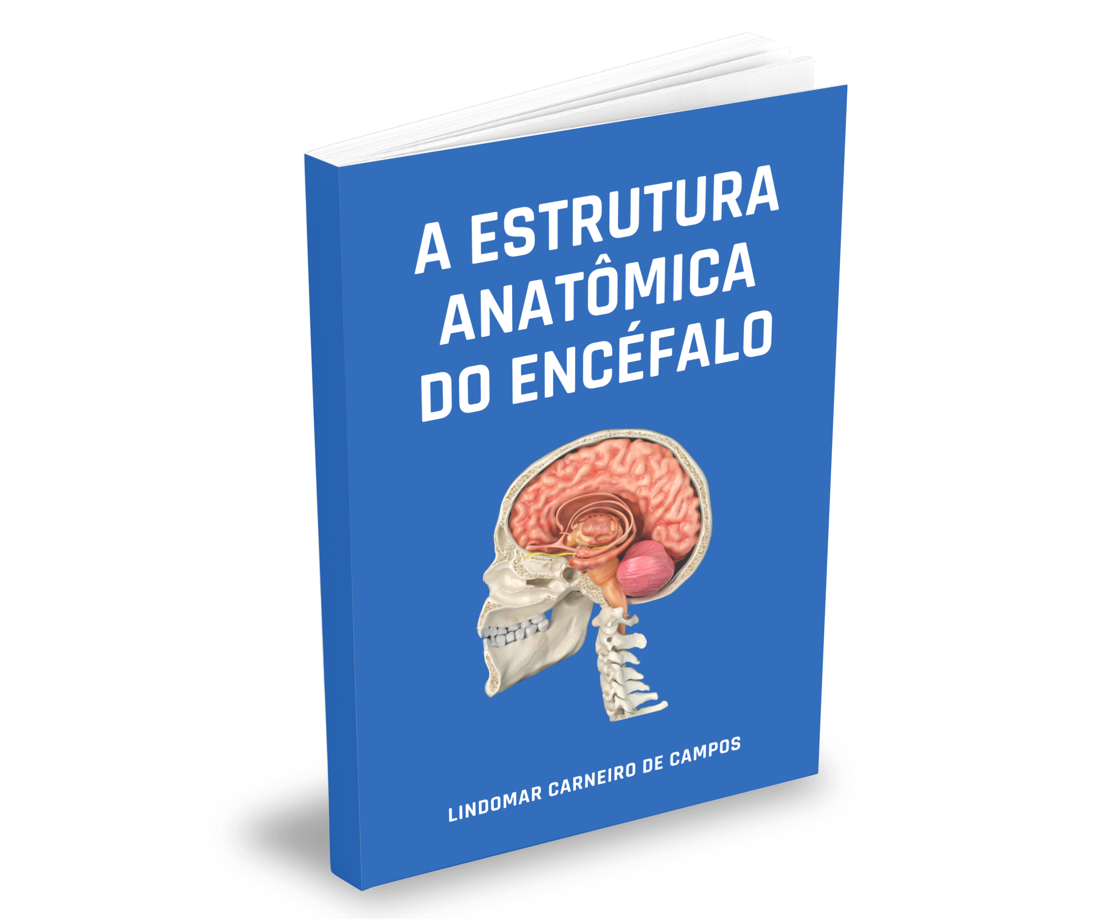 A ESTRUTURA ANATÔMICA DO ENCÉFALO - Lindomar Carneiro de Campos (Pr...