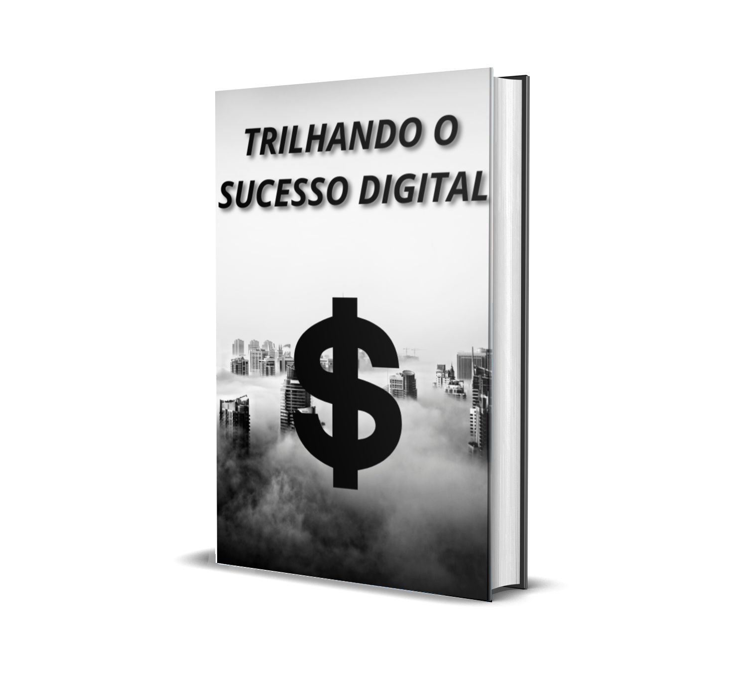 Trilhando o Sucesso Digital