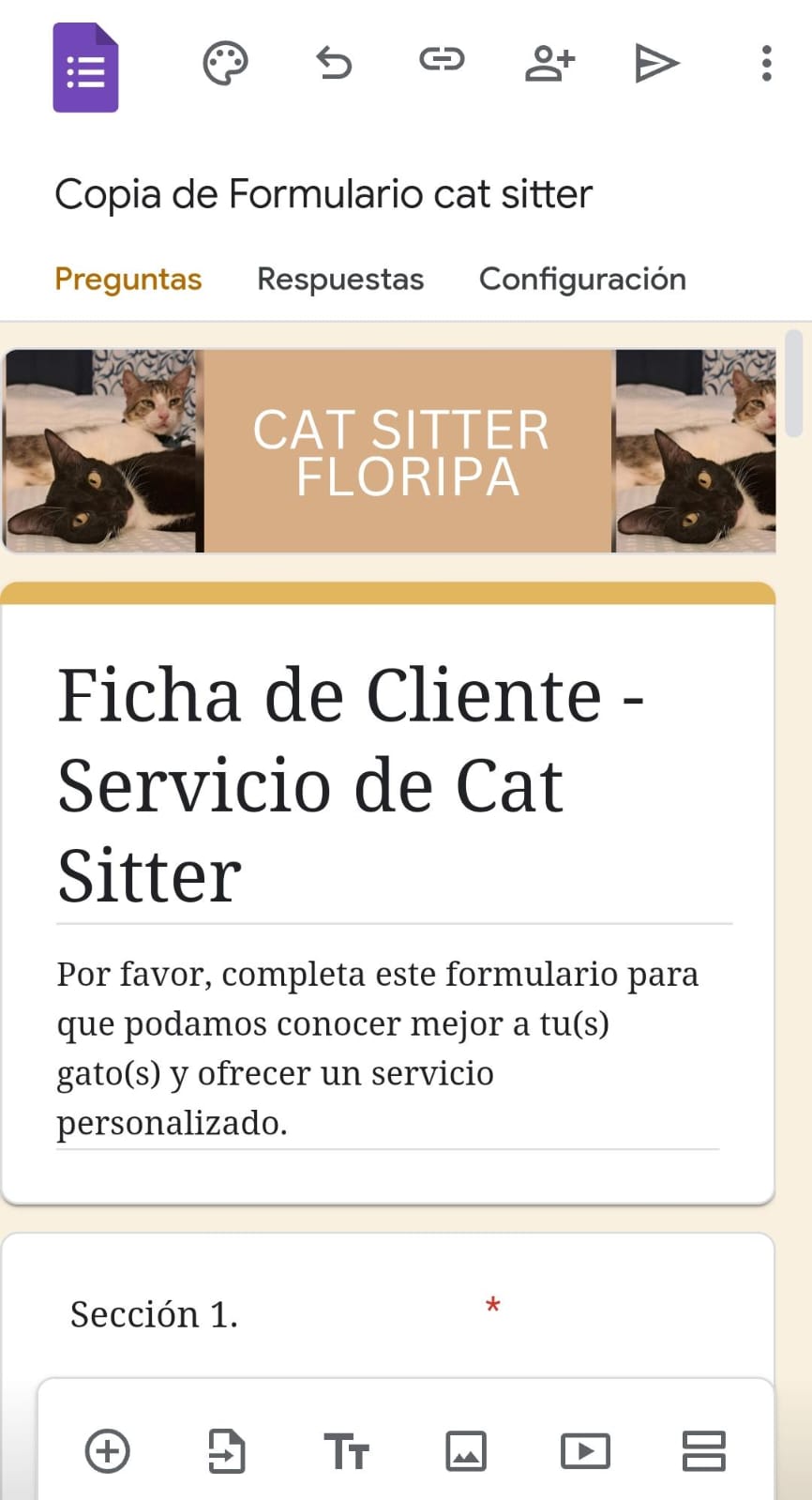 Formulario para Cat Sitters Editable en Google Forms | Formulario P...